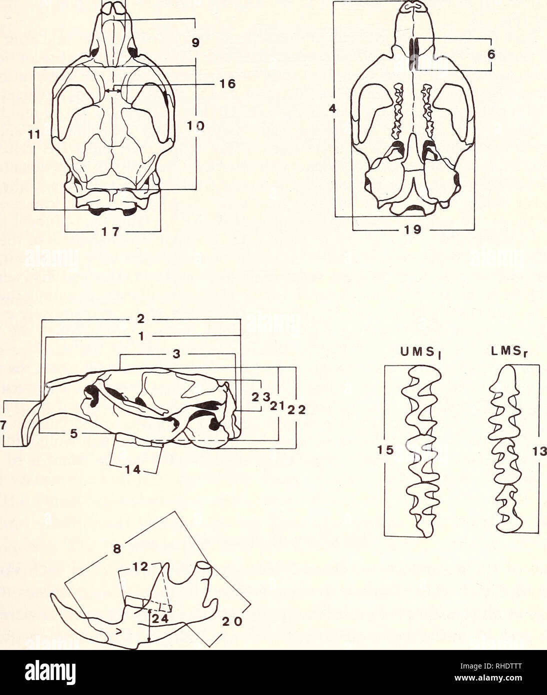 Biometria hi-res stock photography and images - Alamy