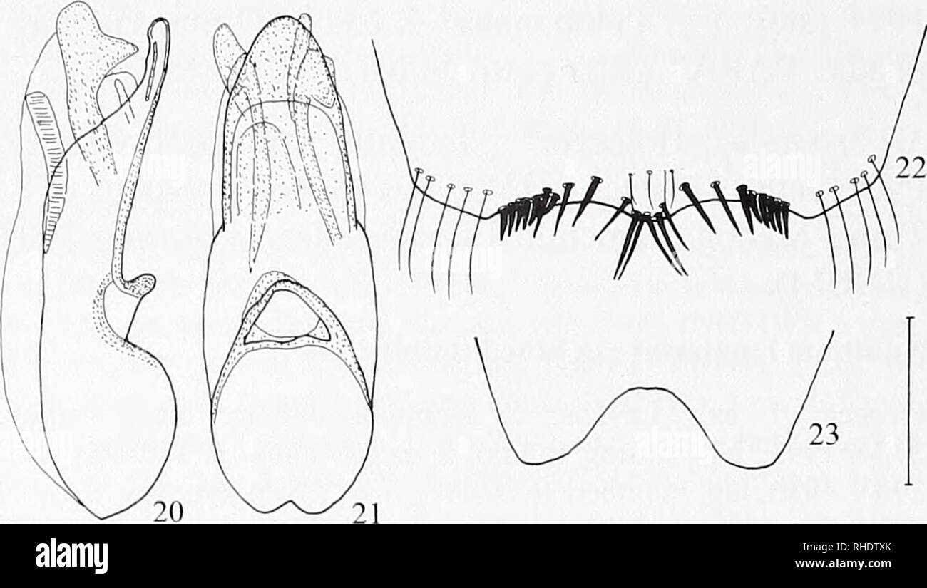 Strumica hi-res stock photography and images - Alamy