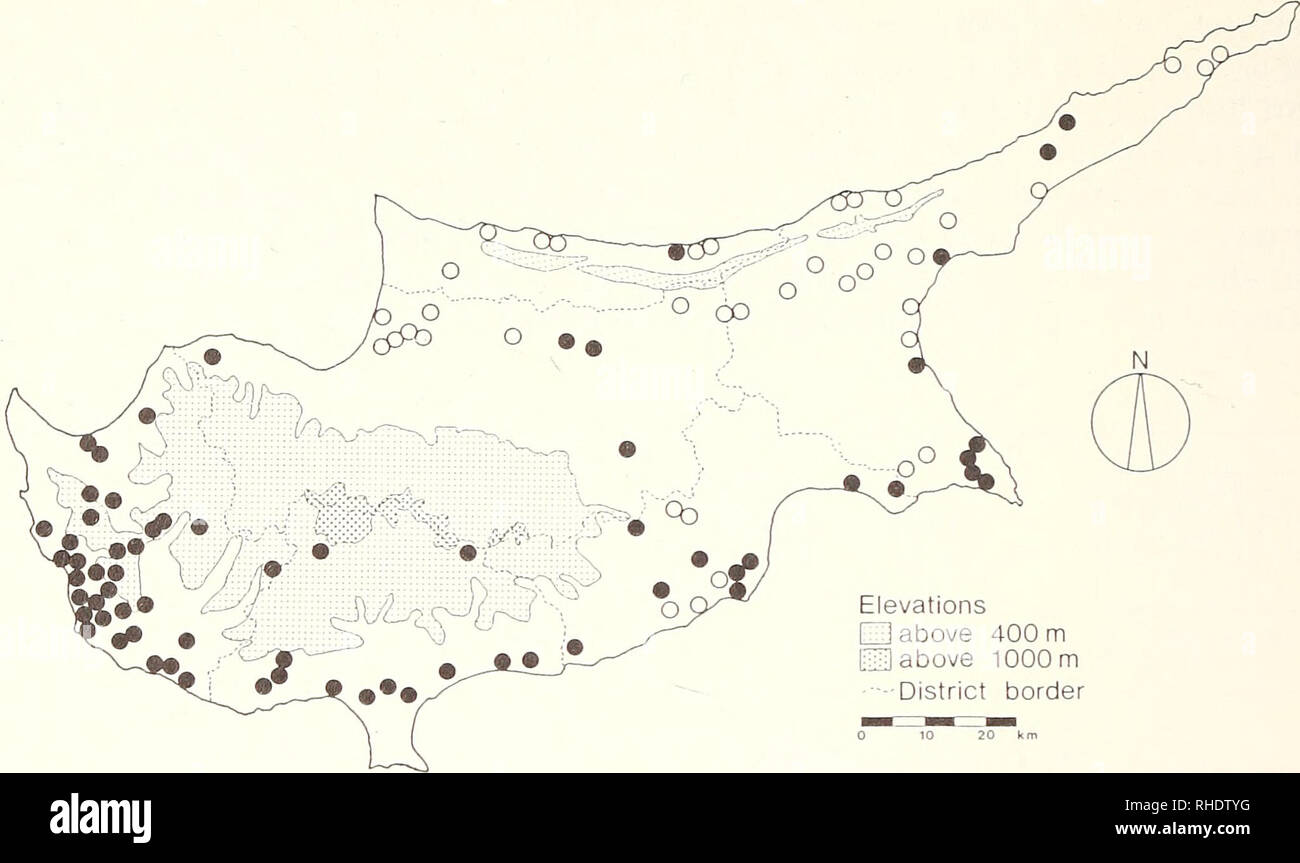 Cyprus hedgehog hi-res stock photography and images - Alamy