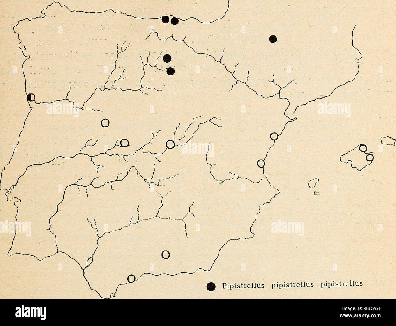 Map Of Bonner High Resolution Stock Photography and Images - Alamy