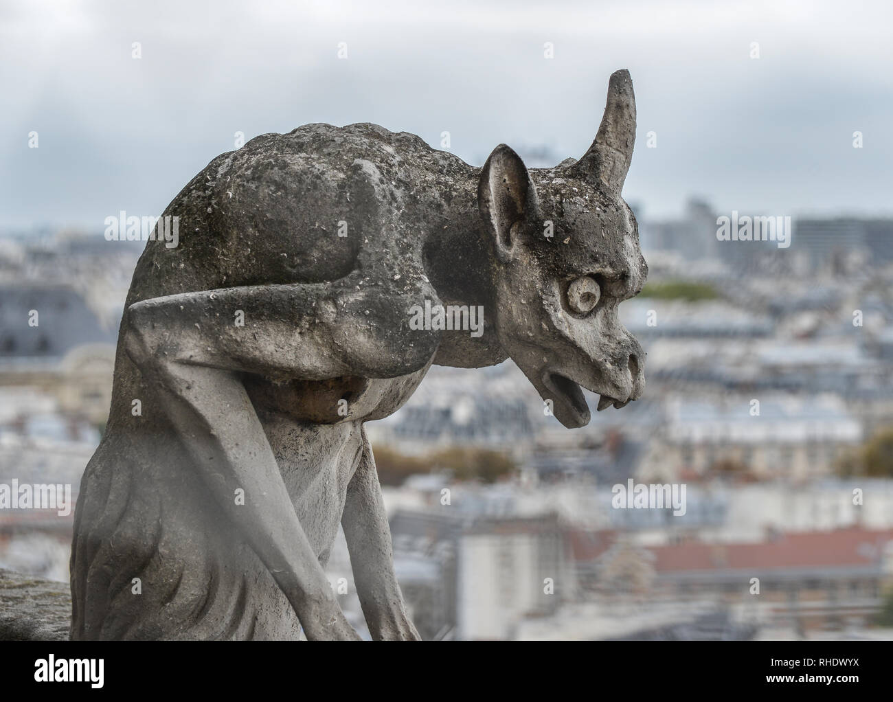 Chimera (Gargoyle) of the Cathedral of Notre Dame de Paris (France ...