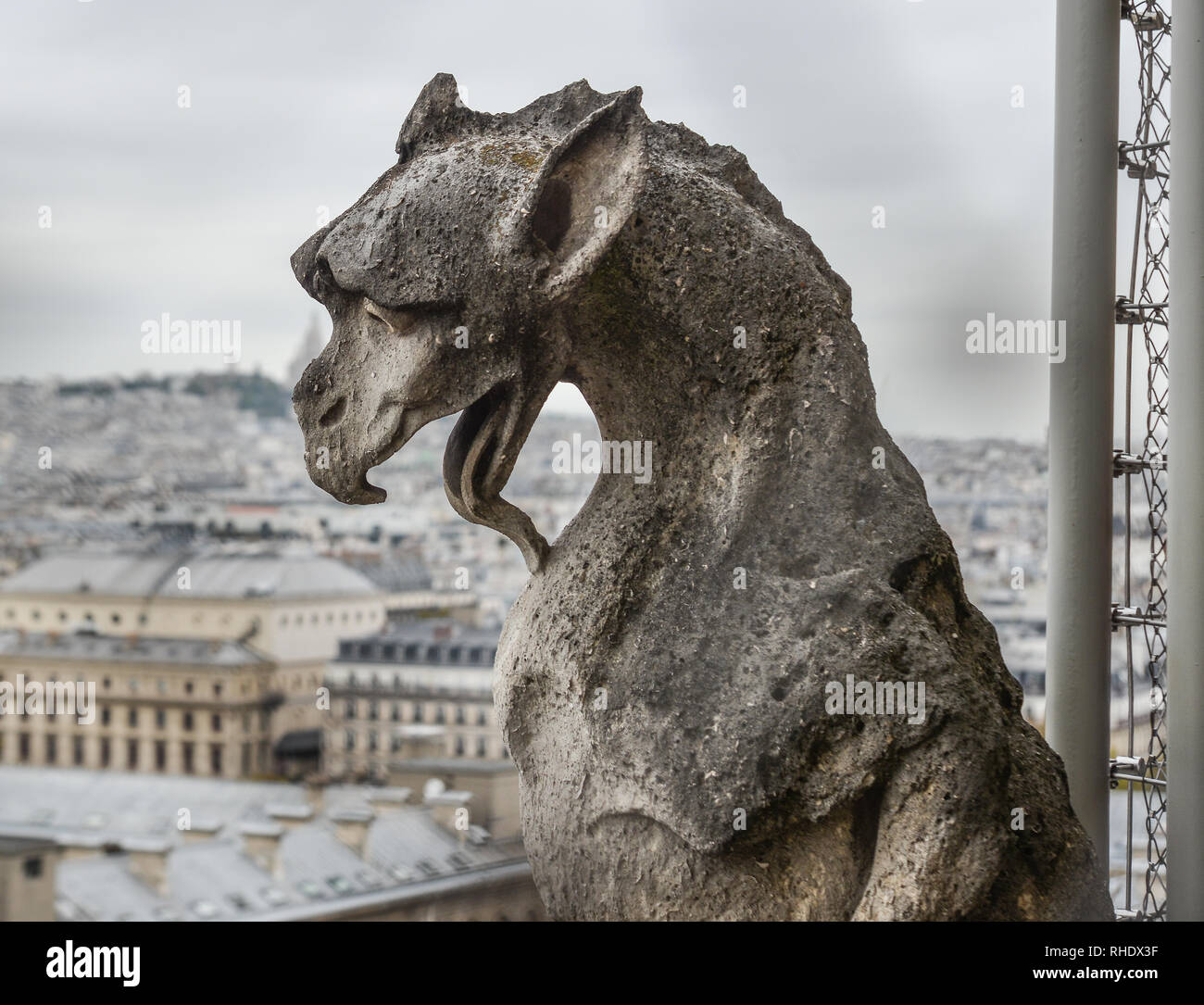 Chimera (Gargoyle) of the Cathedral of Notre Dame de Paris (France ...