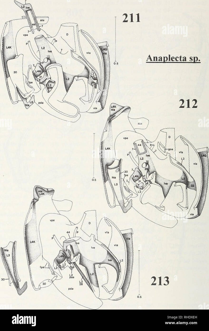 Scale 5mm hi-res stock photography and images - Alamy
