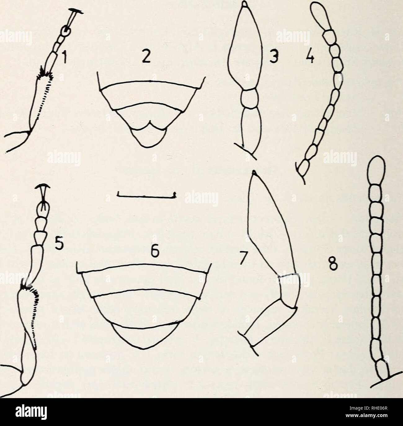 . Bonner zoologische Beiträge : Herausgeber: Zoologisches ...