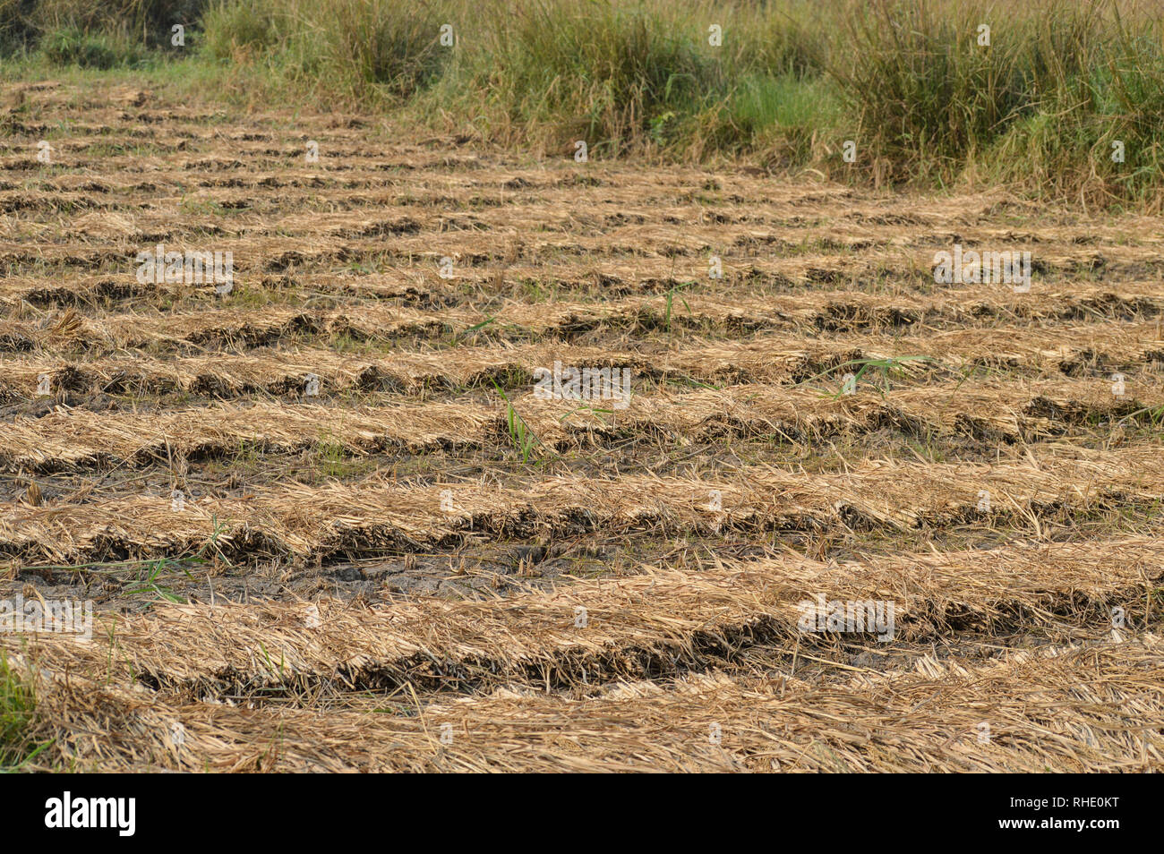 To stack collected hi-res stock photography and images - Alamy