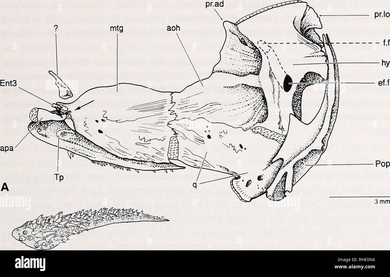 Processus standard hi-res stock photography and images - Alamy