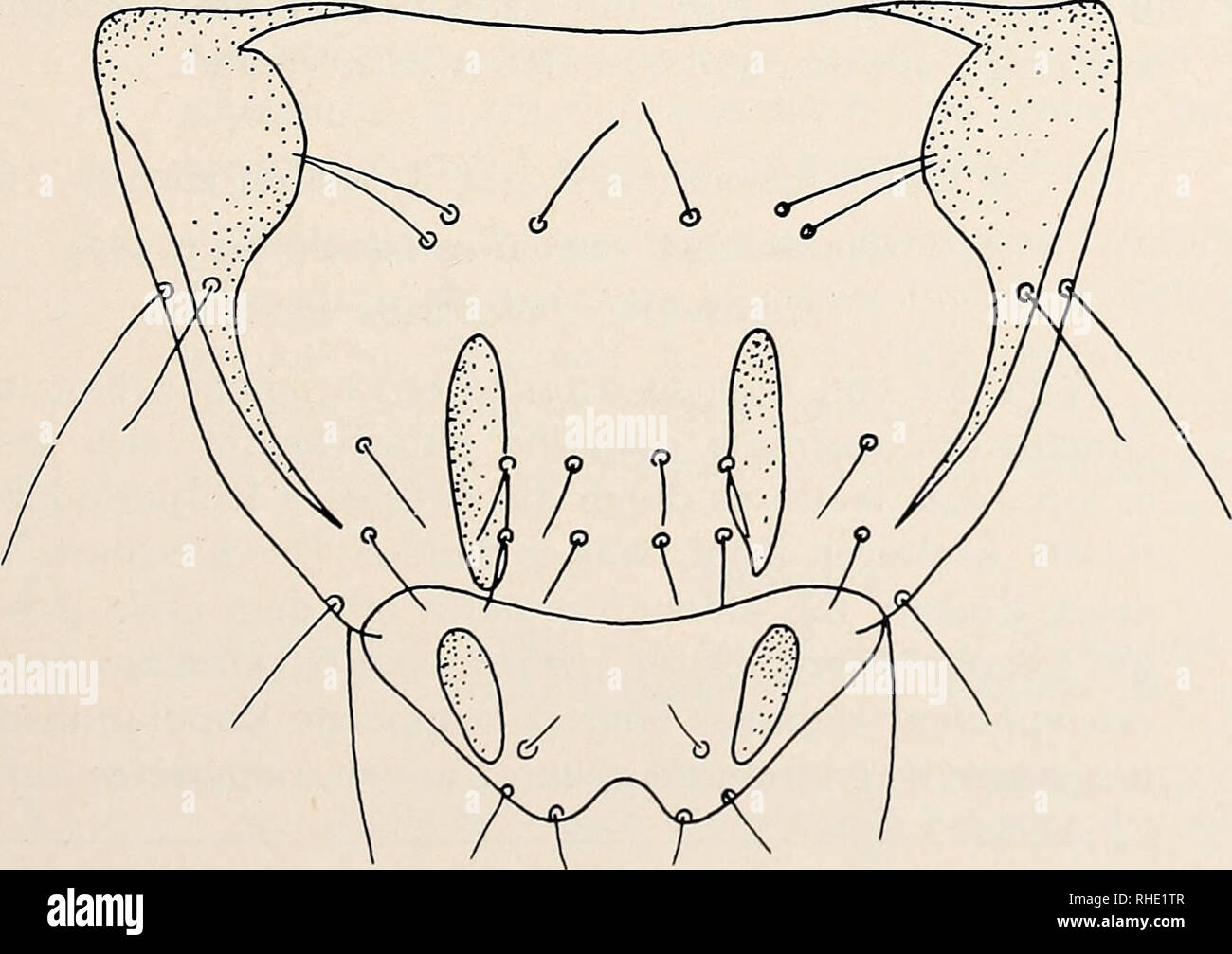 N 39 58 34 hi-res stock photography and images - Alamy