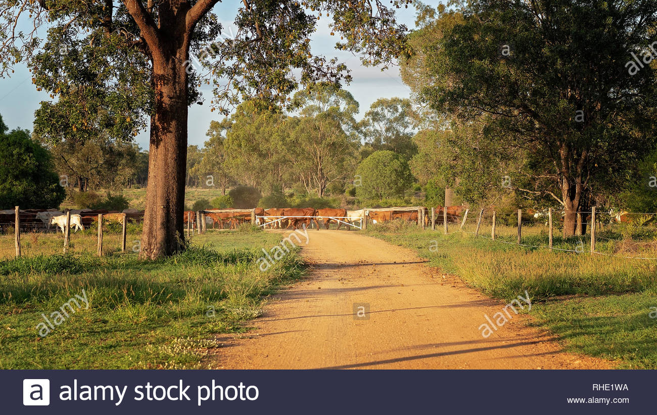 Drover Stock Photos & Drover Stock Images - Alamy