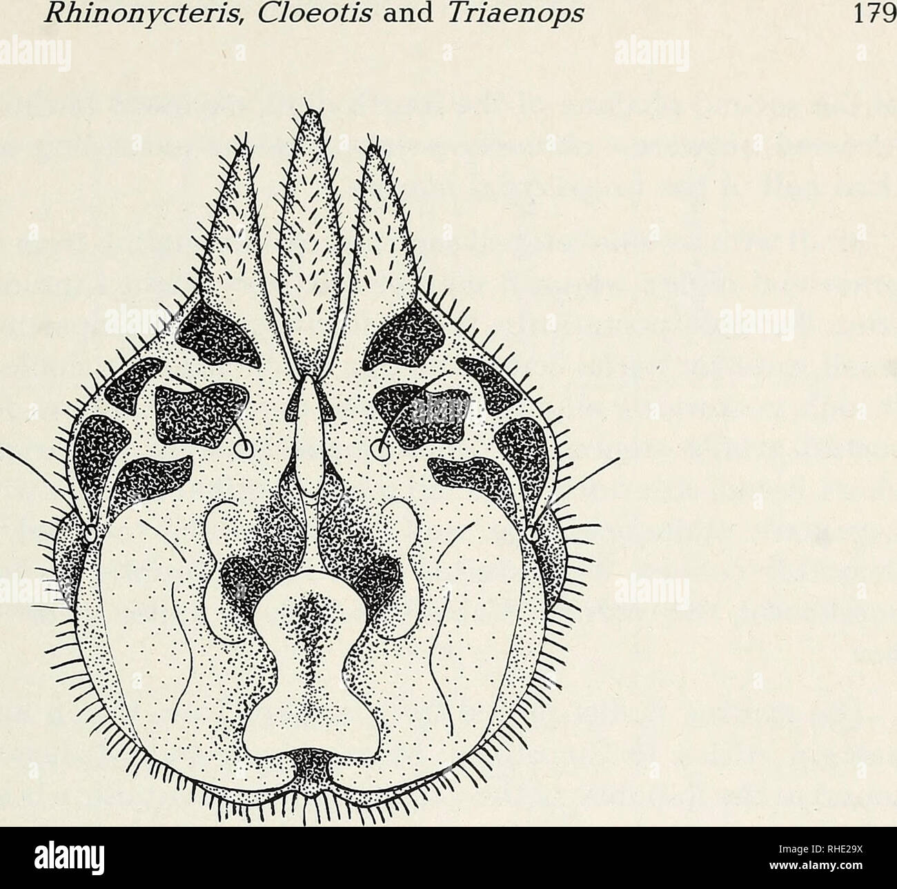 Cell biology museum hi-res stock photography and images - Alamy