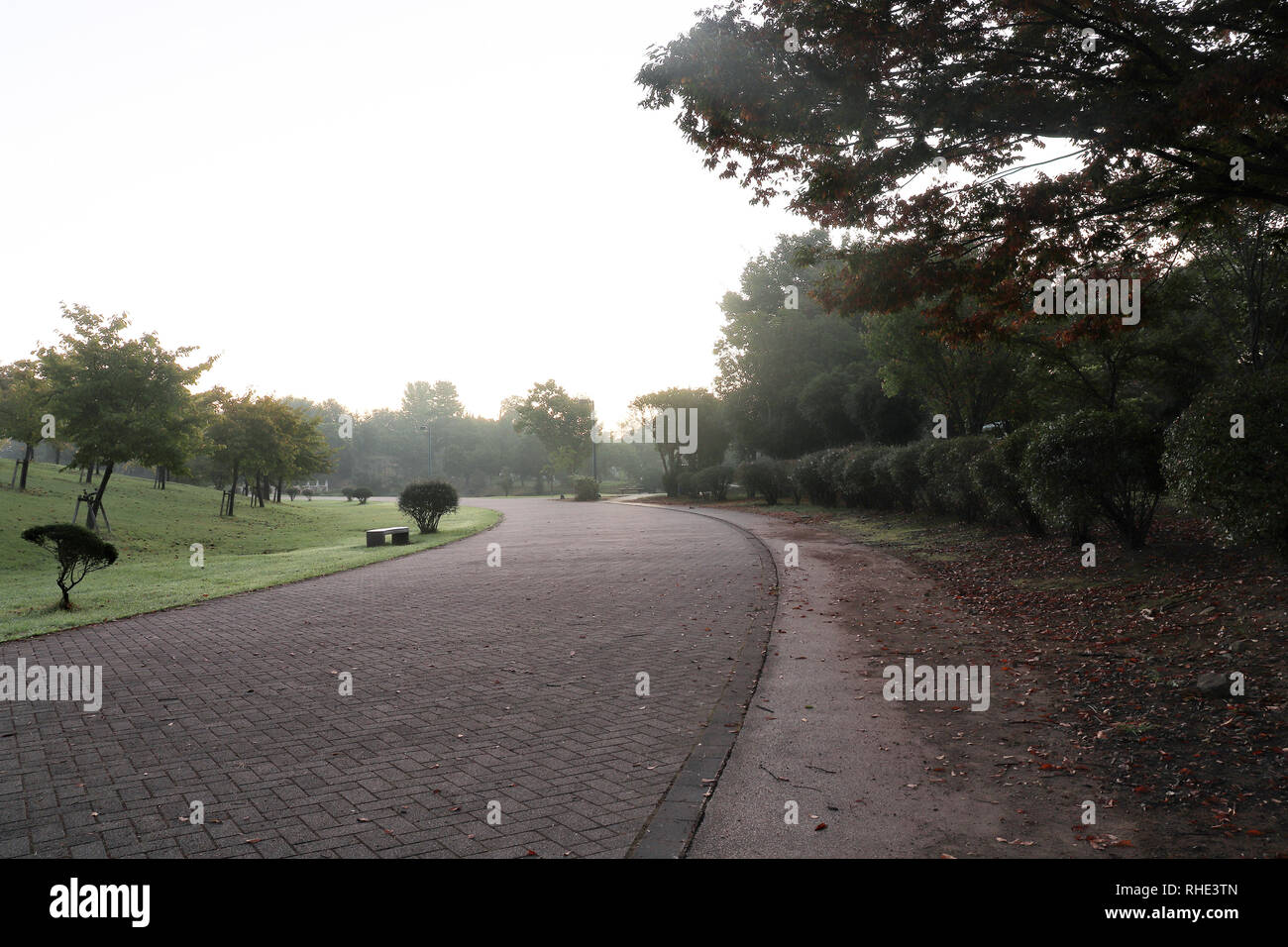 Sad path hi-res stock photography and images - Alamy