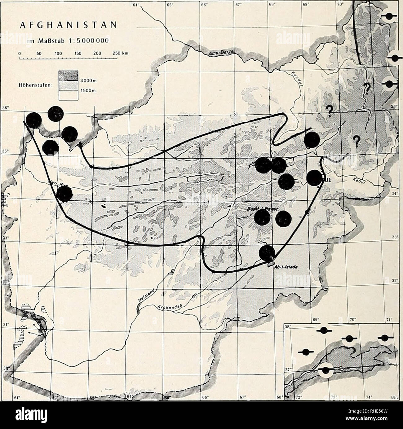 Microlus hi-res stock photography and images - Alamy