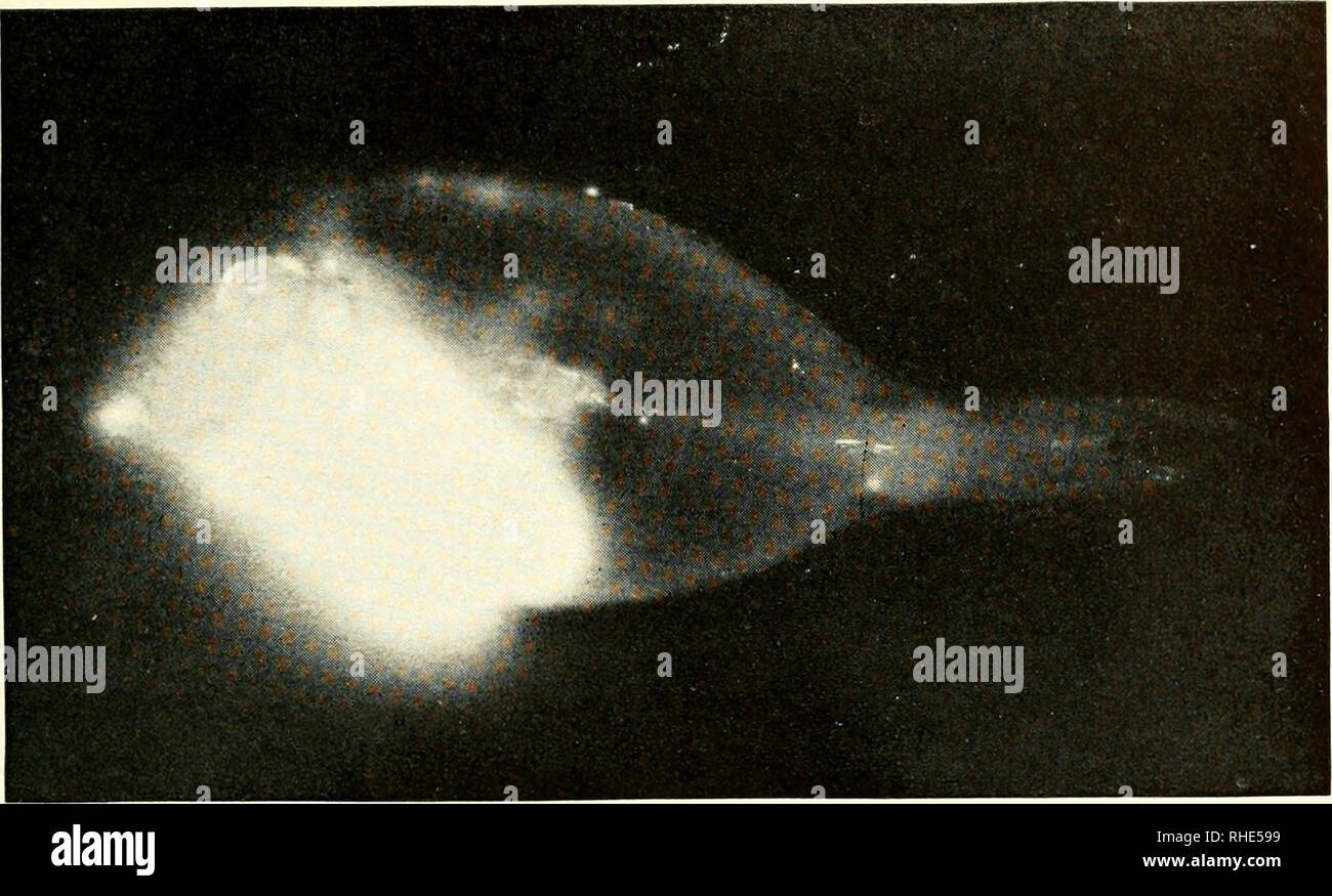 Fourteen bikini hi-res stock photography and images - Alamy