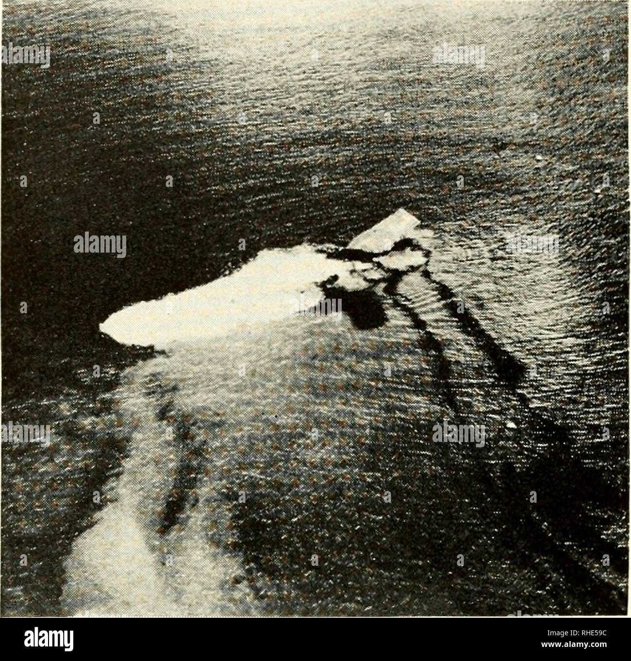 . Bombs at Bikini; the official report of Operation Crossroads. Atomic ...