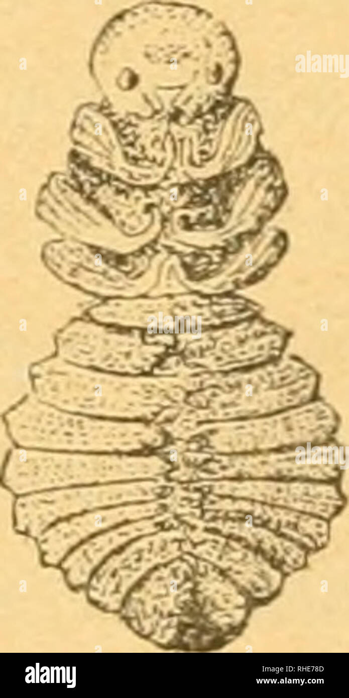 Striscia nera hi-res stock photography and images - Alamy