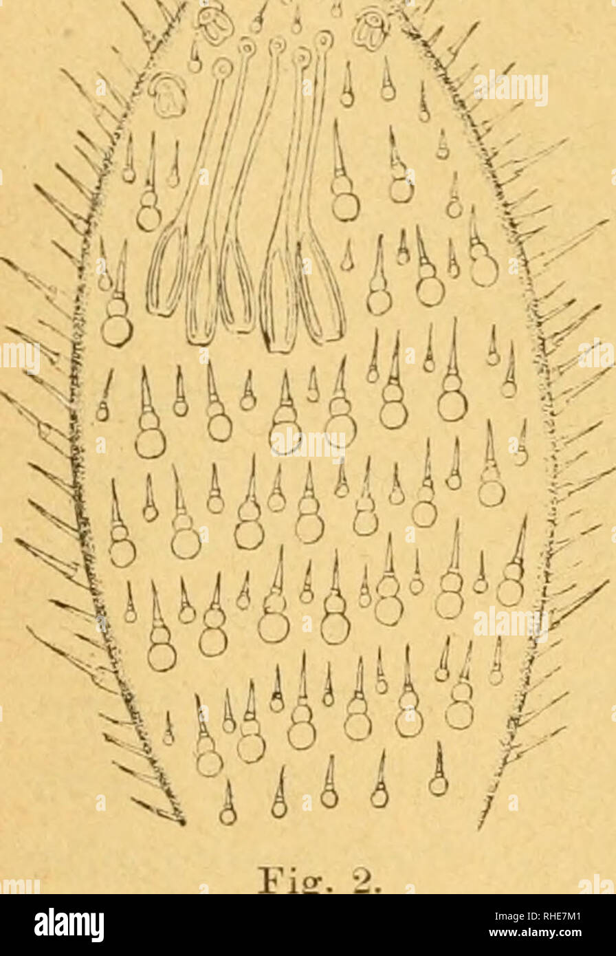 Cilindro j hi-res stock photography and images - Alamy