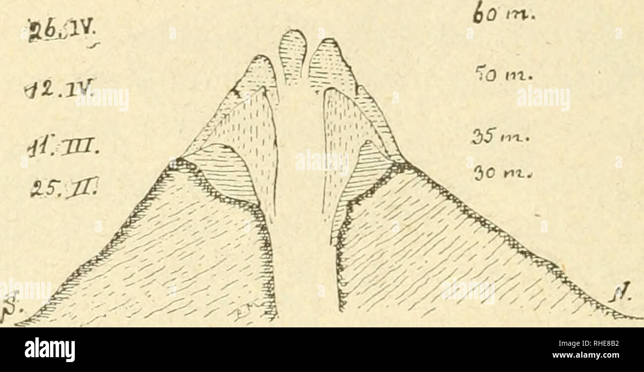 Bocca di fuoco hi-res stock photography and images - Alamy