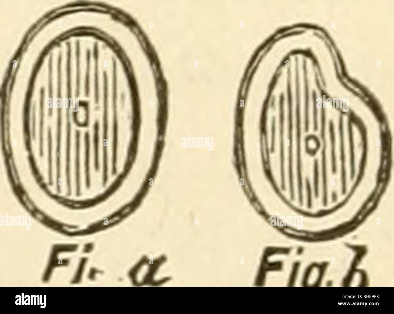 Gradi centigradi temperatura hi-res stock photography and images - Alamy