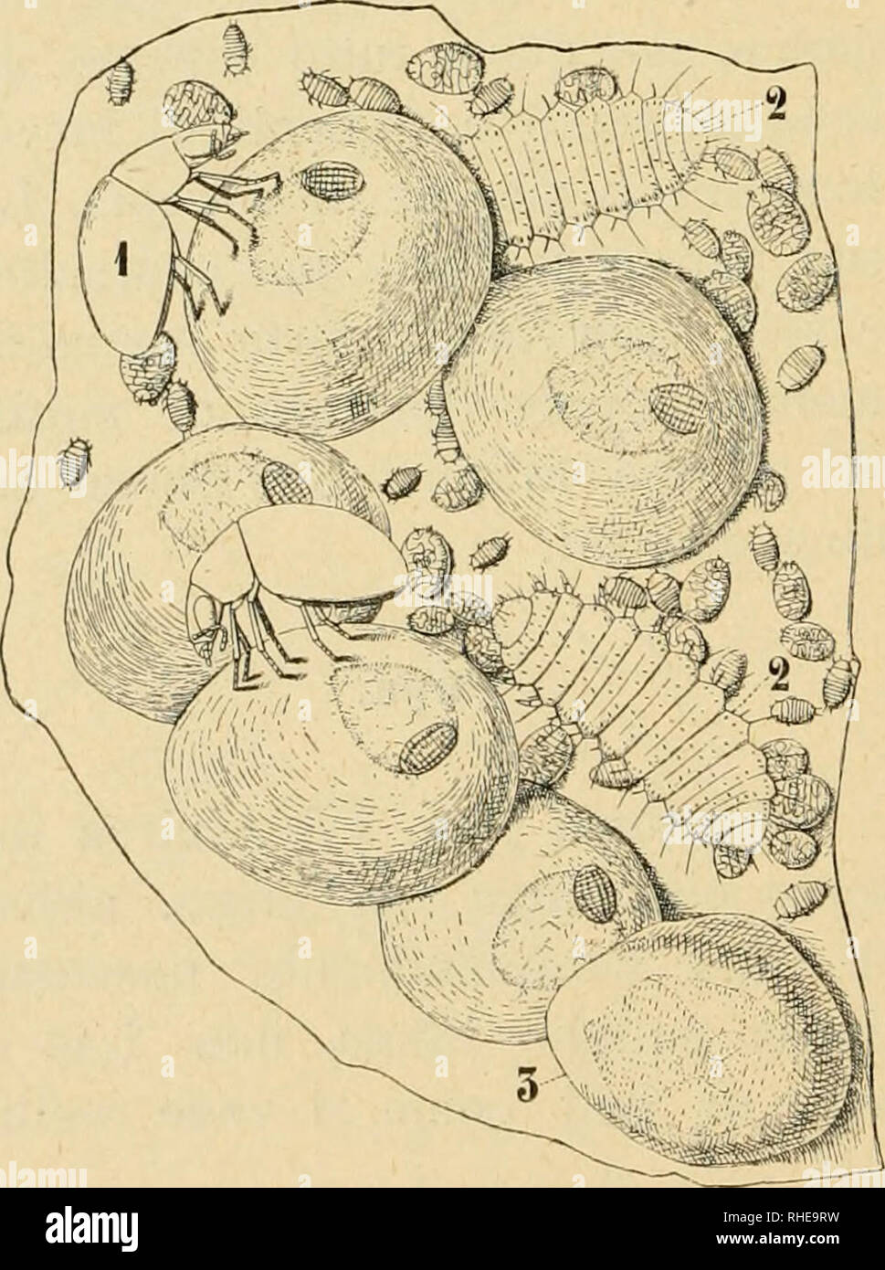 Stato toccato hi-res stock photography and images - Alamy