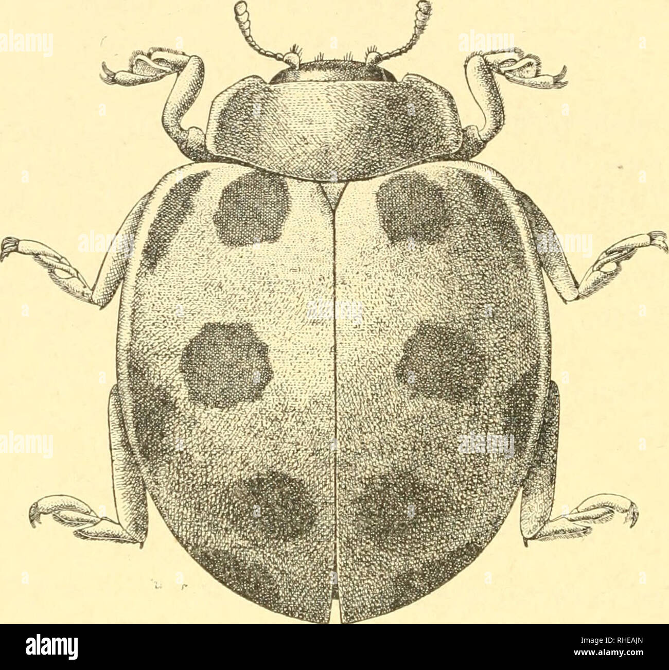 Roton High Resolution Stock Photography and Images - Alamy