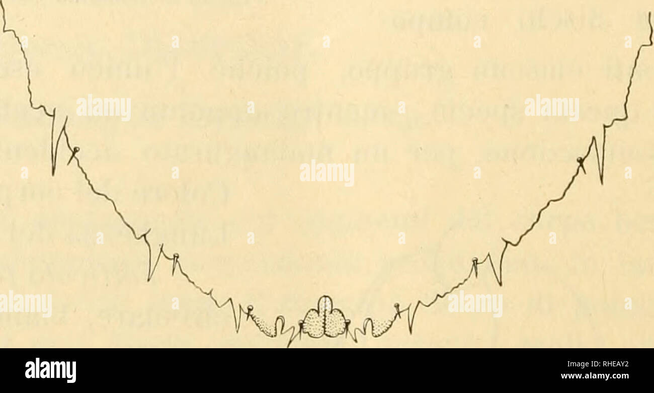 Forma de laboratorio hi-res stock photography and images - Alamy