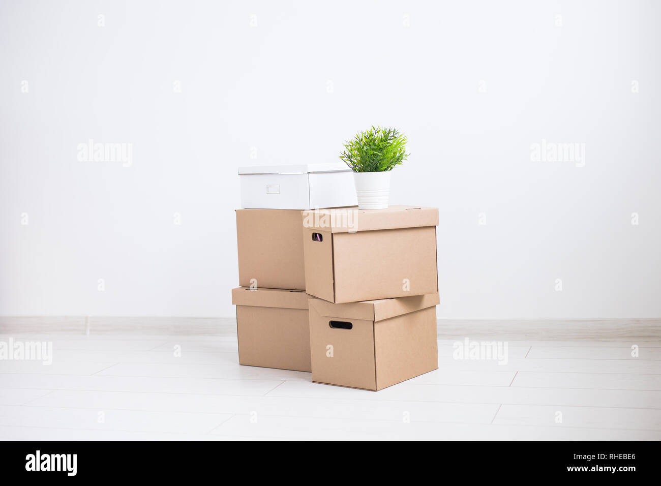 Moving day relocation and new home concept - Boxes and green plant in ...