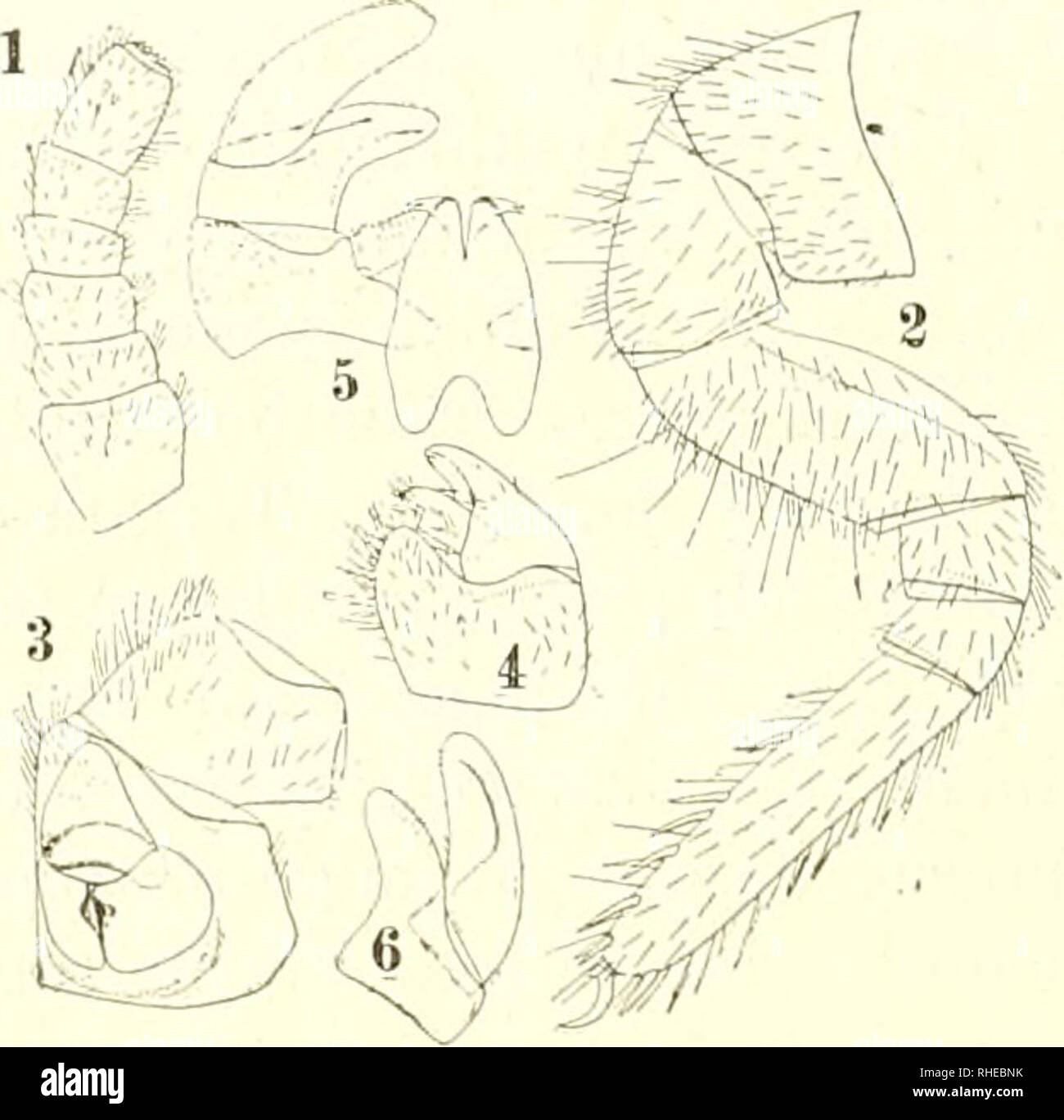 Laboratorio antico hi-res stock photography and images - Alamy