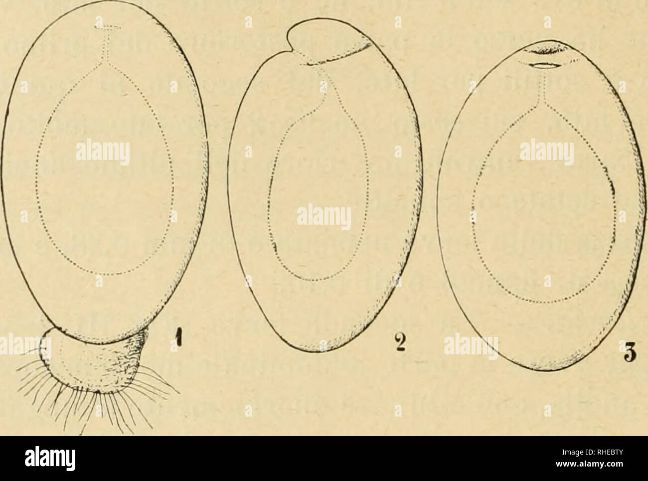 Senza bocca hi-res stock photography and images - Alamy