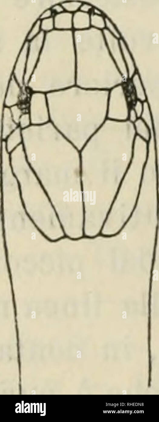 Anatomia della mano hi-res stock photography and images - Alamy