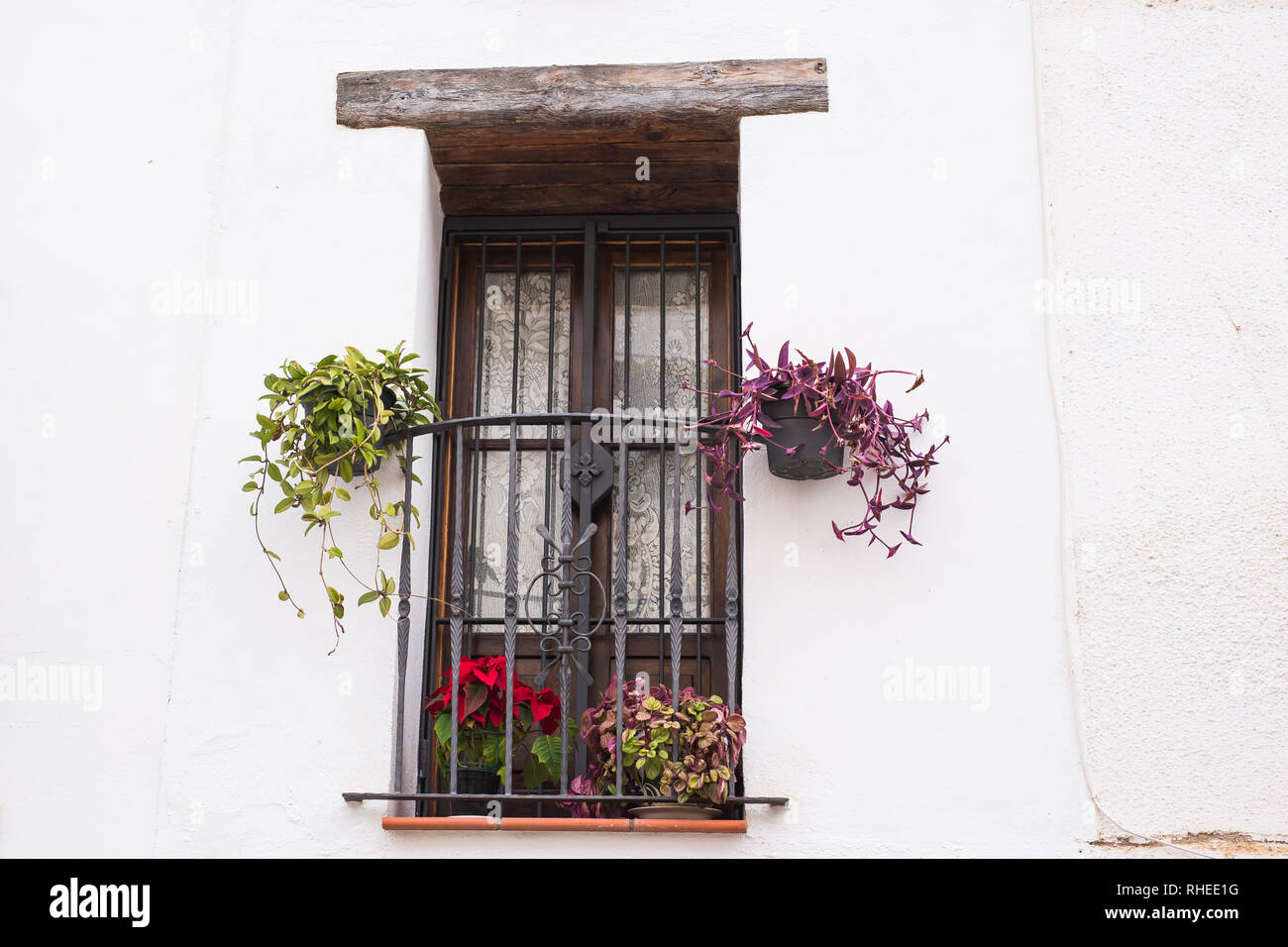 Classic balcony with flowers and green plants Stock Photo - Alamy