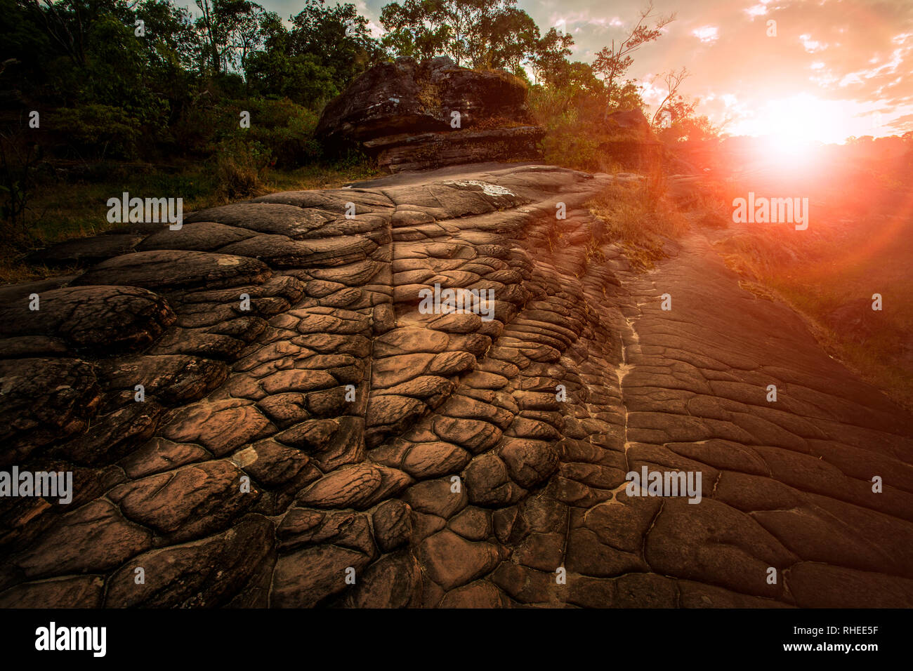 sun crack geology rock in phu hin rongkla national park phitsanuloke ...