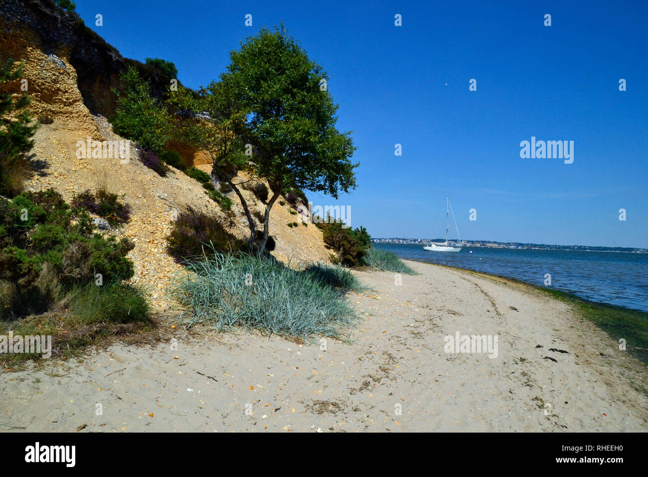 Poole harbour nature reserve hi-res stock photography and images - Alamy
