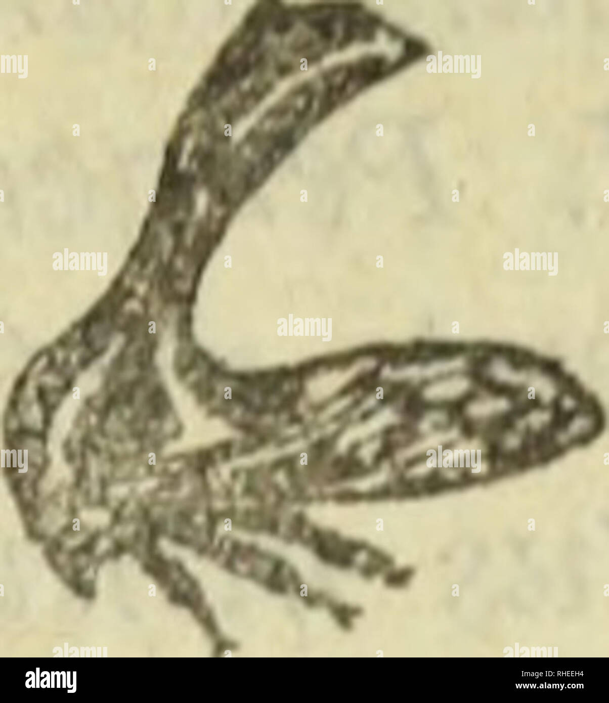 Larium hi-res stock photography and images - Alamy