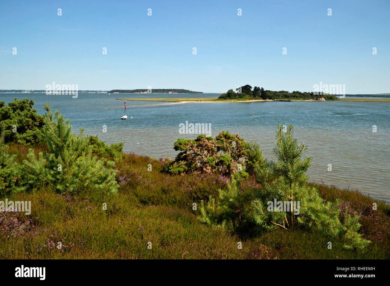 View from rspb arne hi-res stock photography and images - Alamy