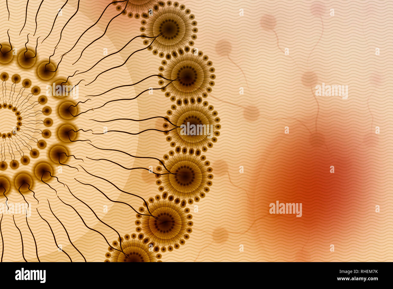 Dendrimer Structure High Resolution Stock Photography and Images - Alamy