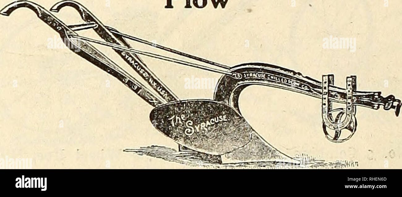 . Bolgiano's new catalog of capitol city seeds : 1919. Nurseries ...