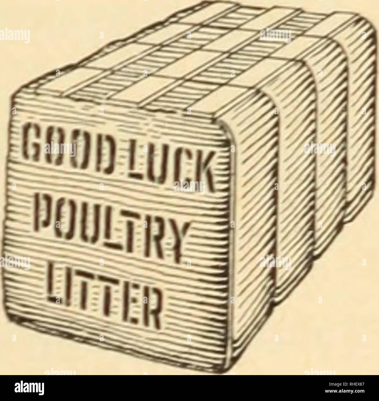 Carbolic acid spray hi-res stock photography and images - Alamy