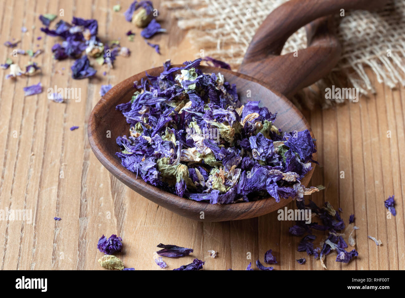 Dried blossoms of malva sylvestris mauritiana, a variety of mallow ...
