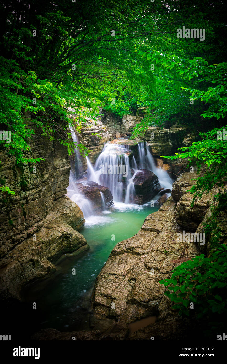 Cascade waterfall in the gorge. Woods around the river. Clear water ...