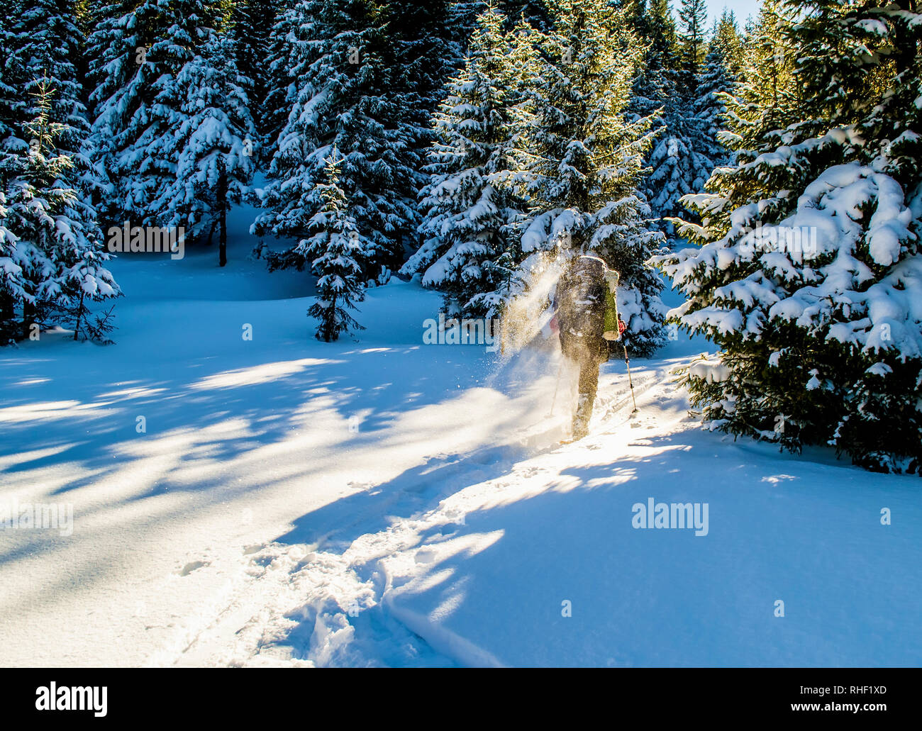 Sunlight snow hi-res stock photography and images - Alamy