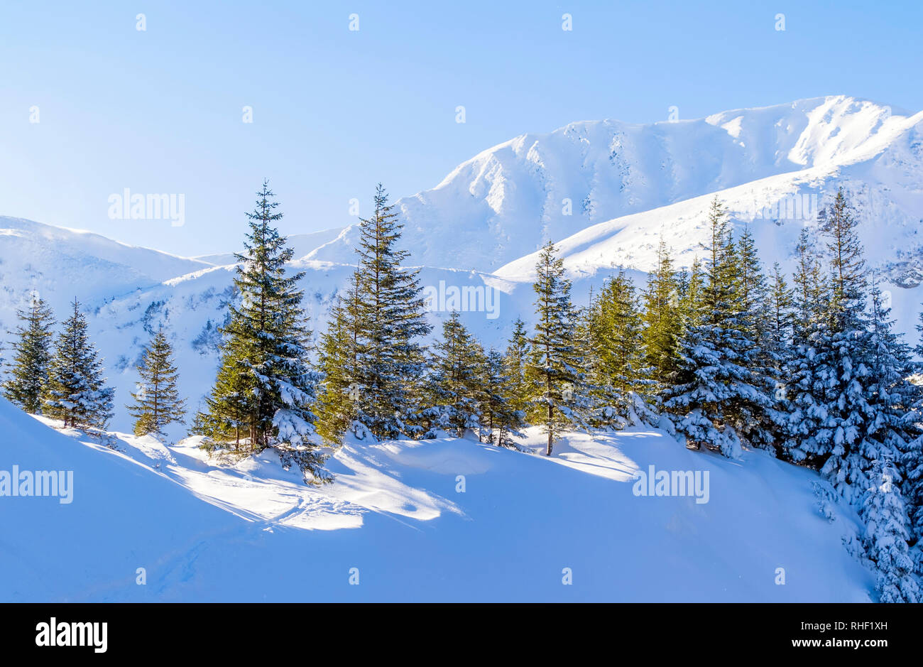 Bright winter mountain landscape. The trail in the snow. Trees in ...