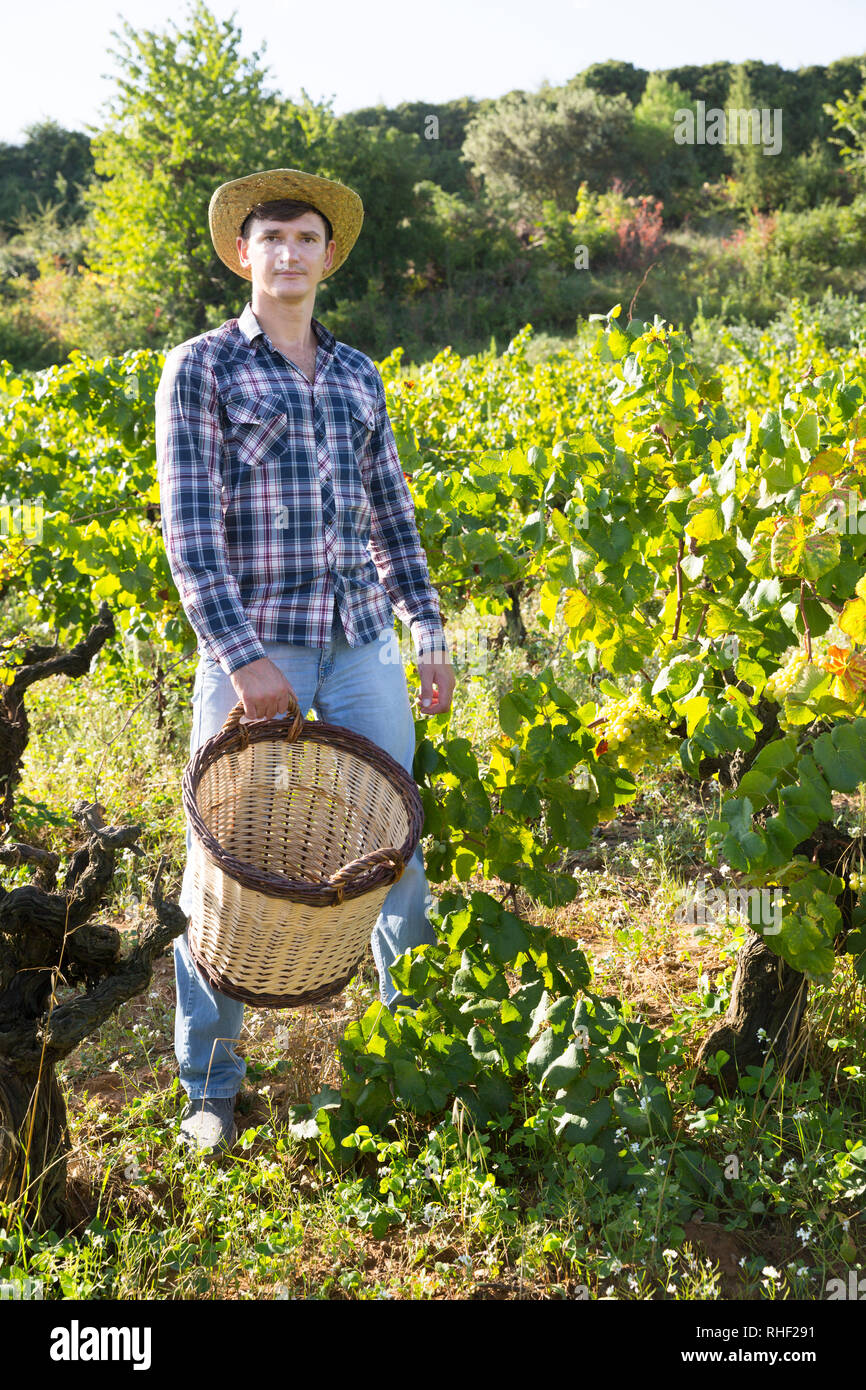 Portrait of young male farmer standing with empty basket in sunny ...
