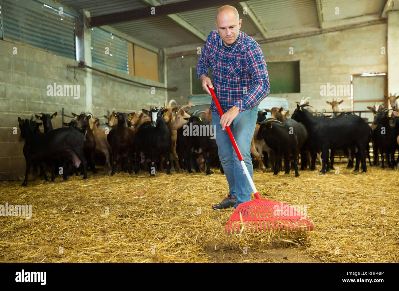 Male farmer holding agricultural tool Stock Photo - Alamy
