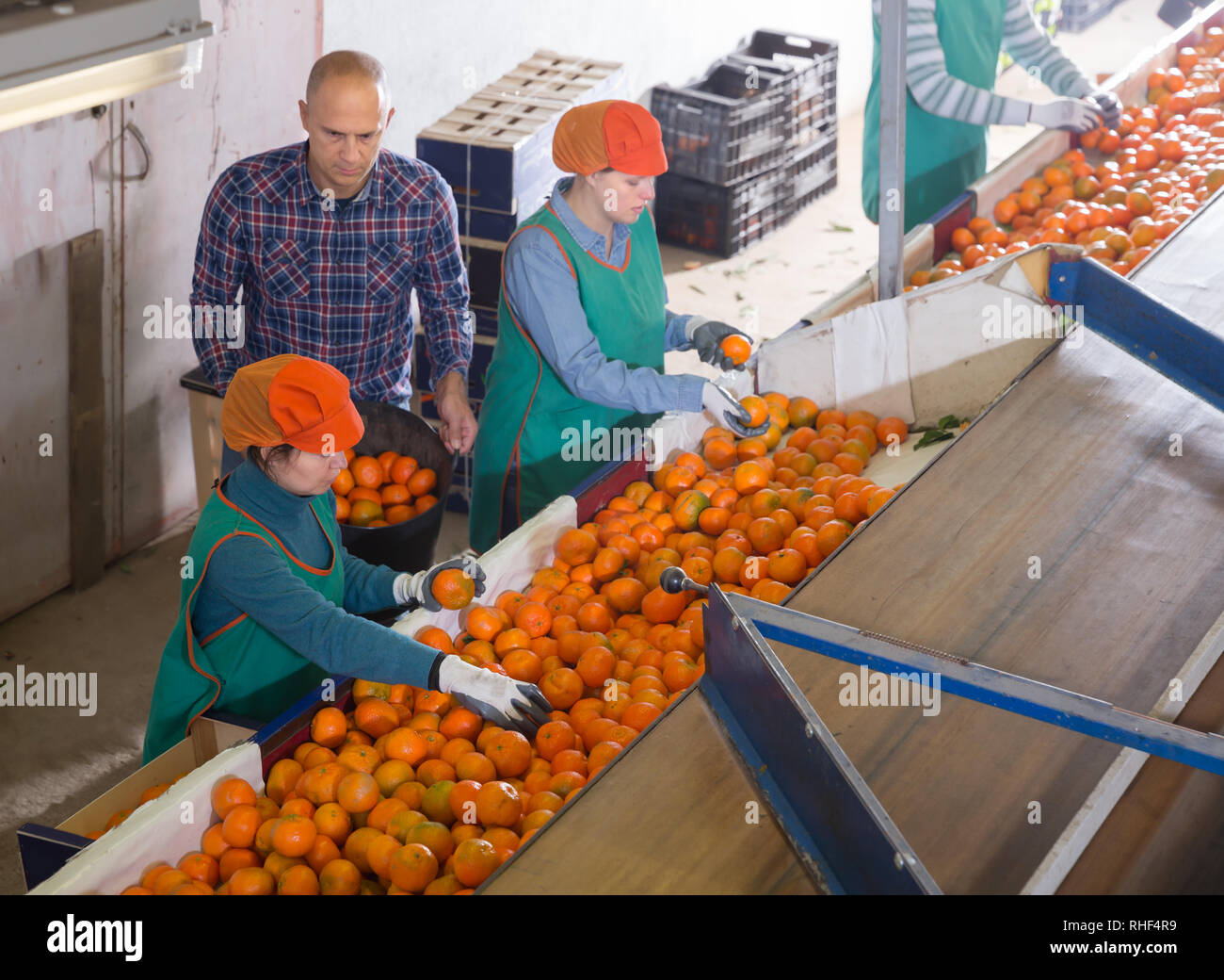 Above view of nice man and woman workers in colored uniform sorting ...