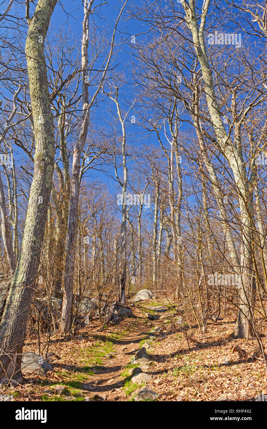 Appalachian spring hi-res stock photography and images - Alamy