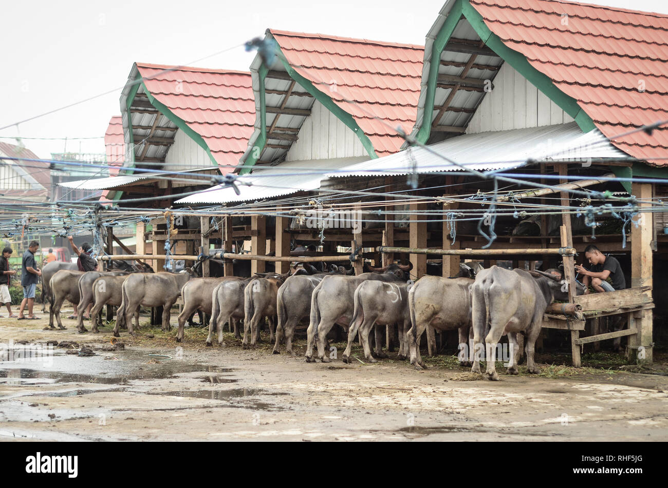 Pasar bolu hi-res stock photography and images - Alamy