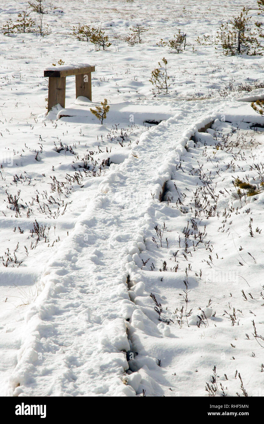 Swamp trail in winter hi-res stock photography and images - Alamy