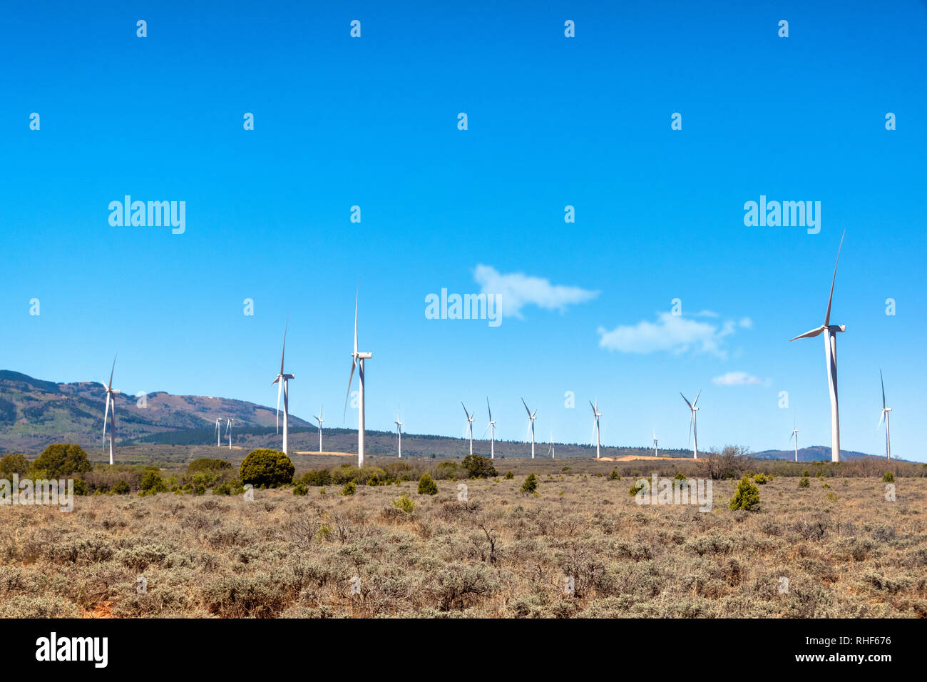 Windmills represent environmentalism and alternative energy, in a field ...