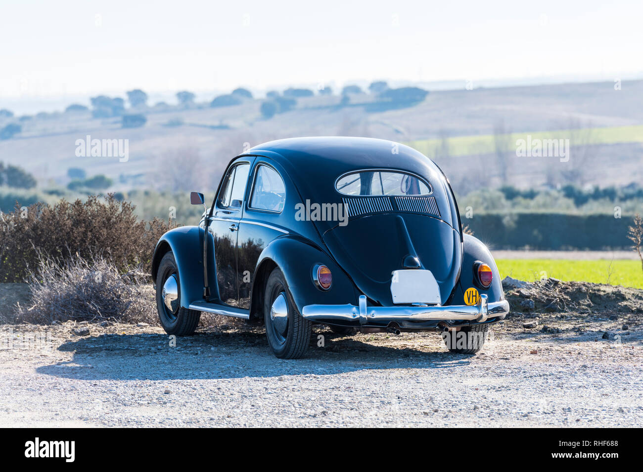 Vintage collector Volkswagen Beetle view from back Stock Photo - Alamy