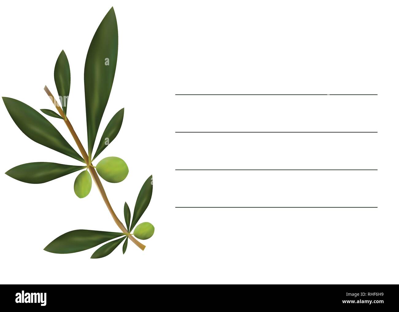 card with olive tree vector and empty lines to write Stock Vector Image ...