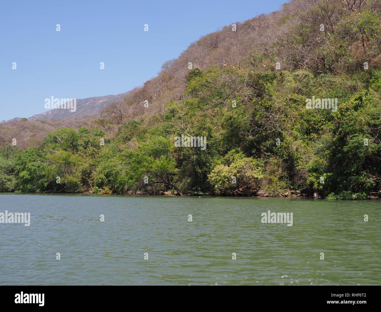 Tropical slope of Sumidero canyon at Grijalva river landscape in ...